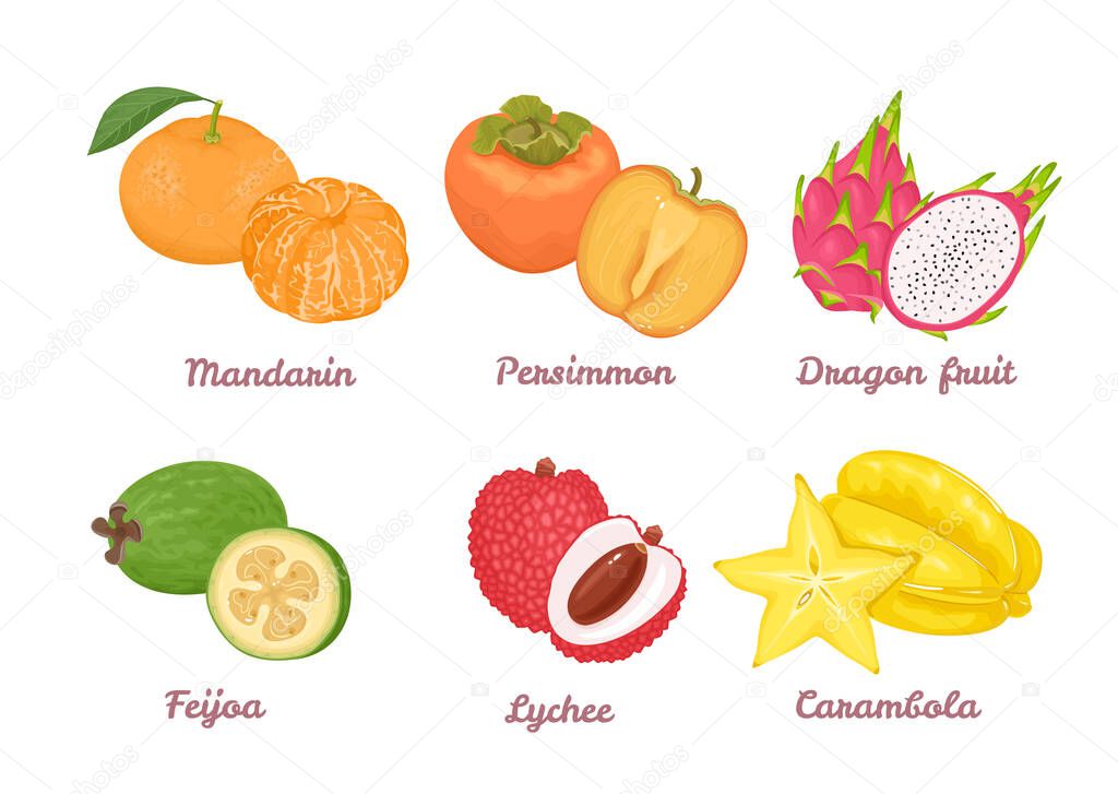 Conjunto de frutas tropicales aisladas en blanco. Mandarina, caqui, fruta de dragón, feijoa ...