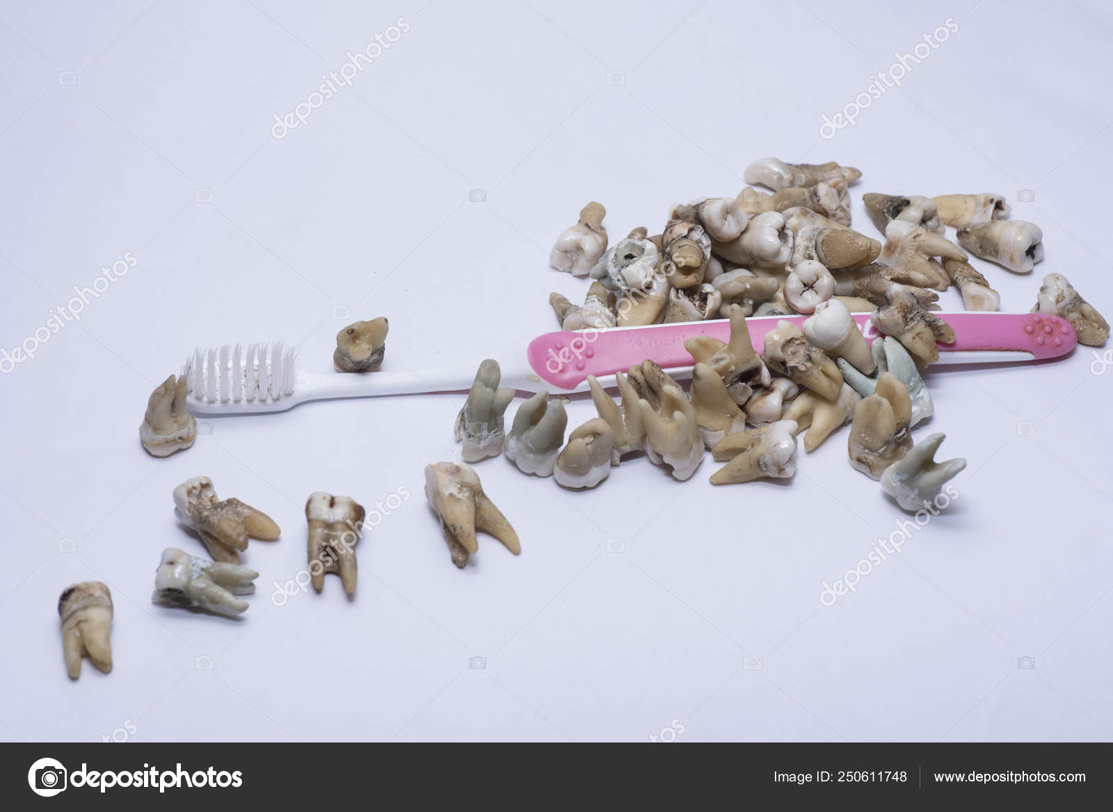 All Human Teeth Stock Photo by ©sweemingyoung 250611748