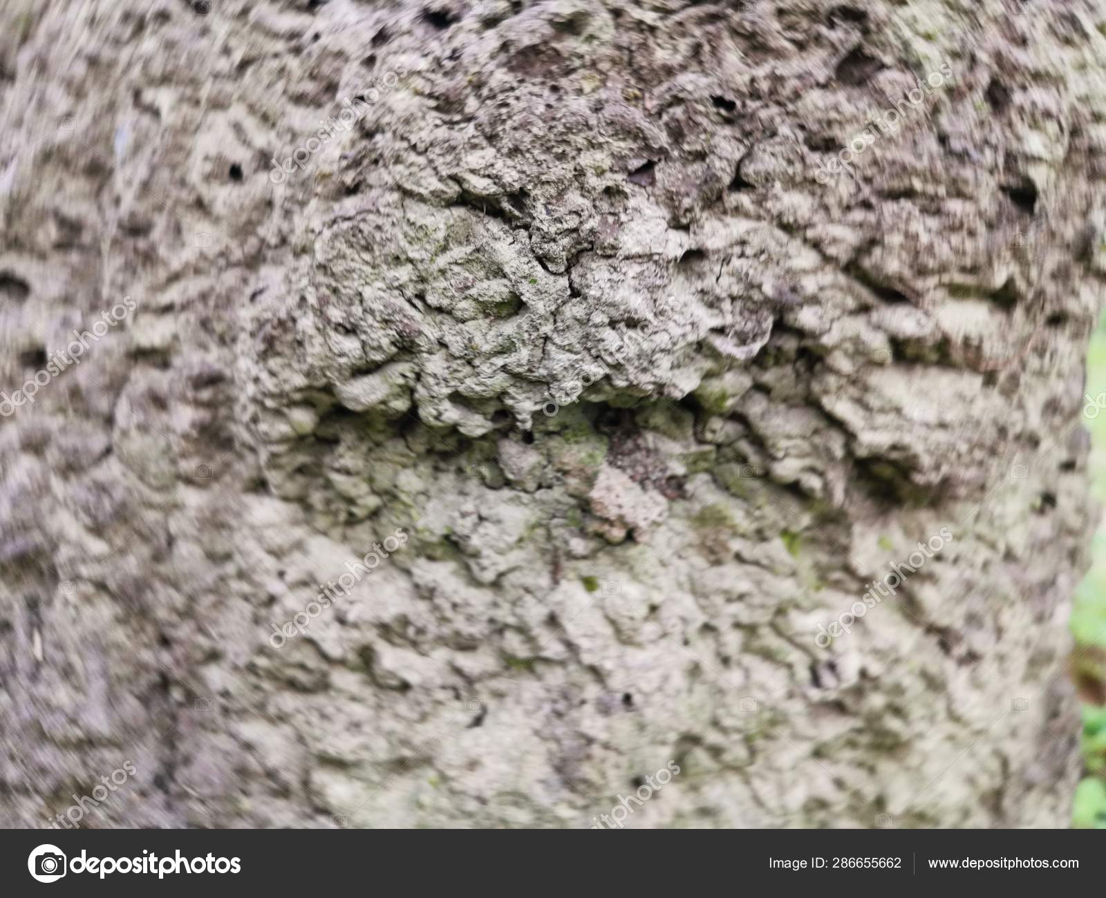 Ant Mold Hill Surface Mud Texture — Stock Photo © sweemingyoung #286655662