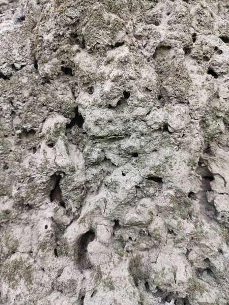 Ant Mold Hill Surface Mud Texture — Stock Photo © sweemingyoung #286655956