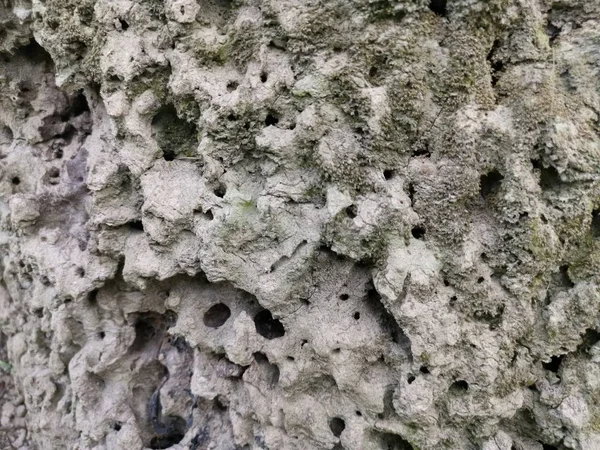 Ant Mold Hill Surface Mud Texture — Stock Photo © sweemingyoung #286655956