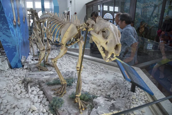 Dead goat Stock Photos, Royalty Free Dead goat Images | Depositphotos®