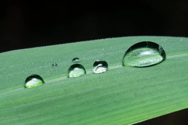 Moisture inspection Stock Photos, Royalty Free Moisture inspection ...