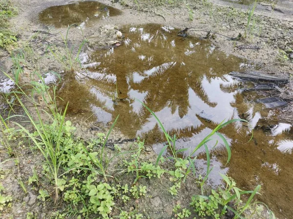 Guy grabs poop in creek latest Stock Photos, Royalty Free Guy grabs ...