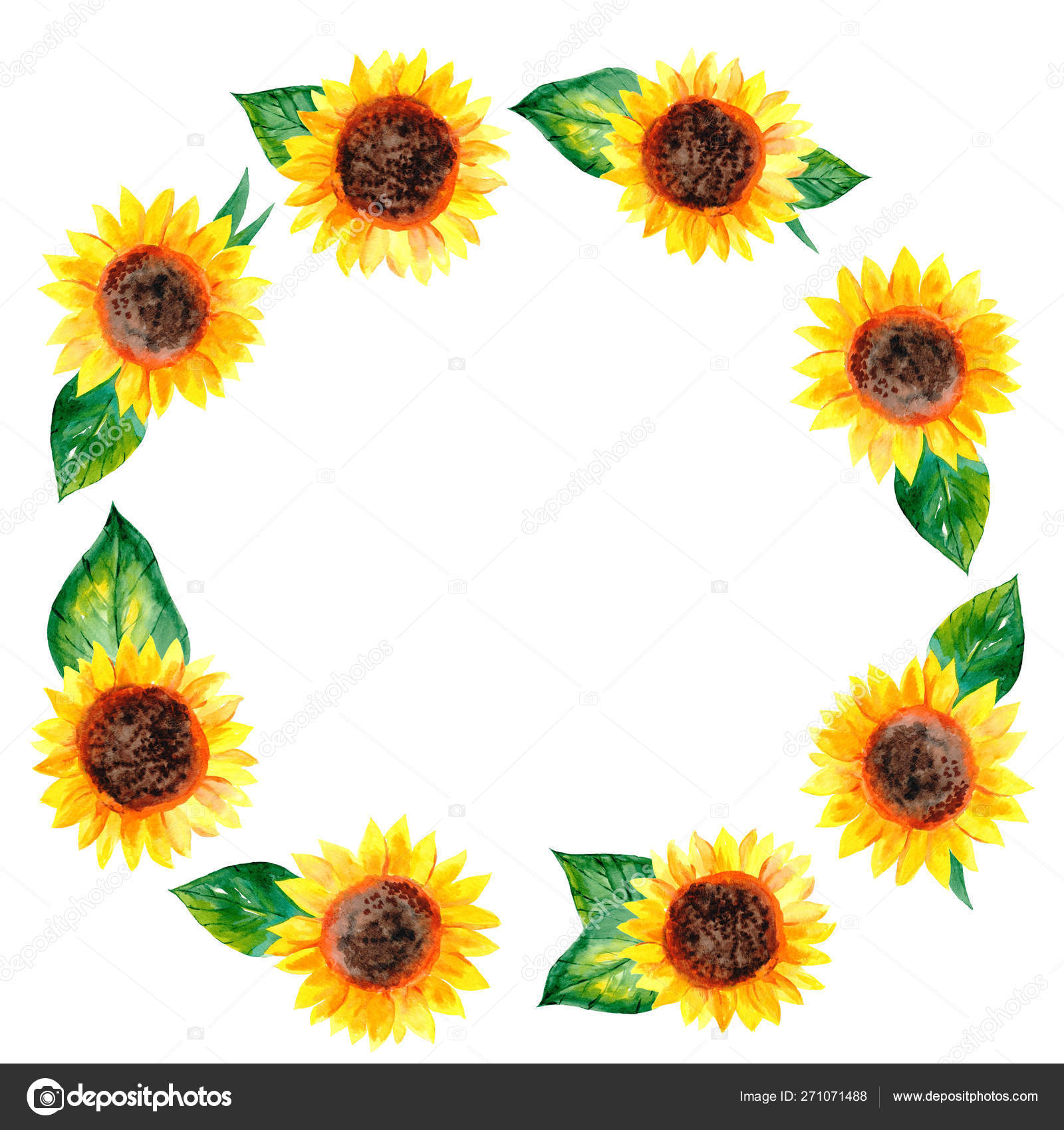 Square Bright Summer Frame Watercolor Sunflowers Leaves Illustration ...