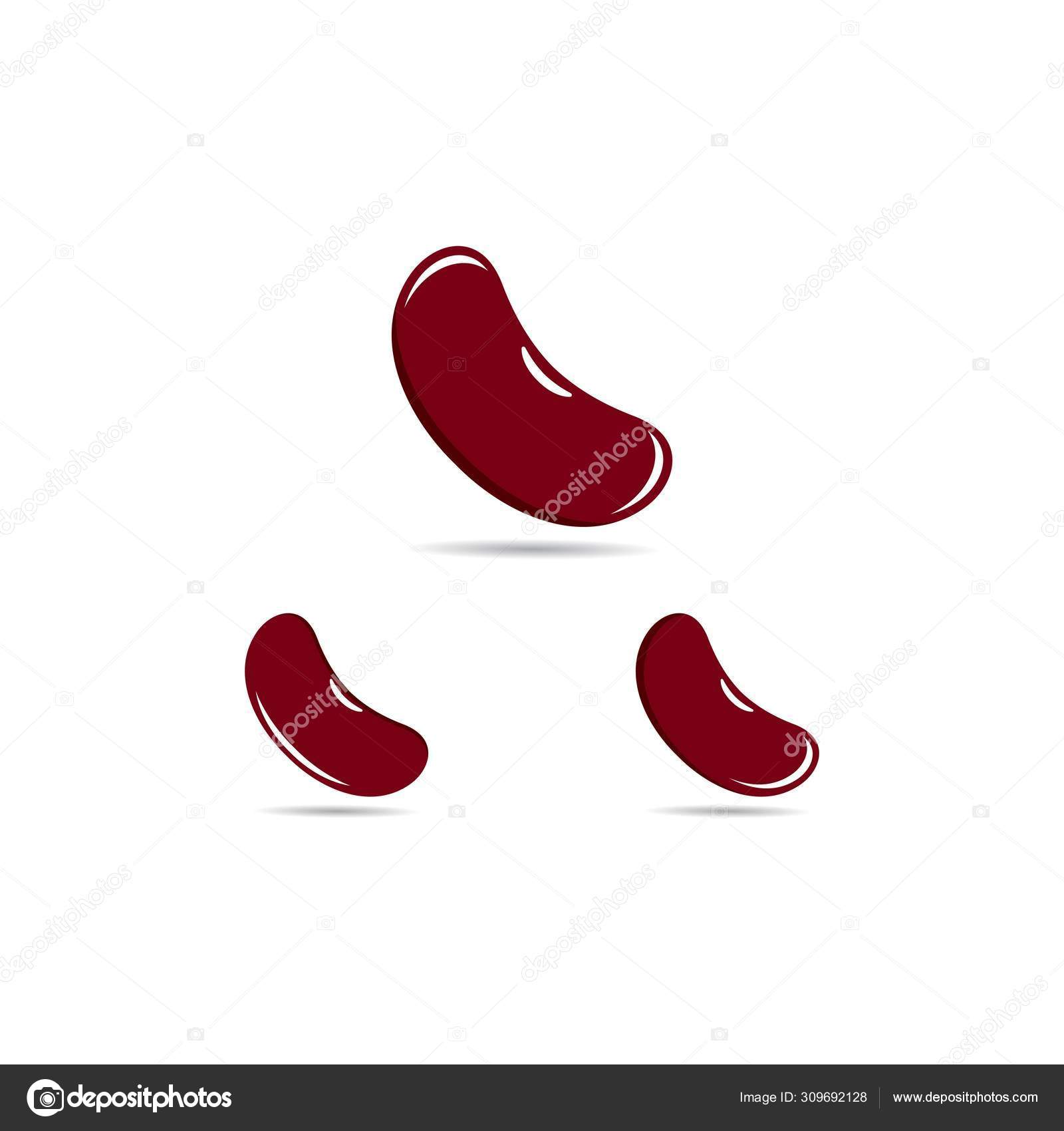 Red kidney beans template logo vector icon illustration Stock Vector ...