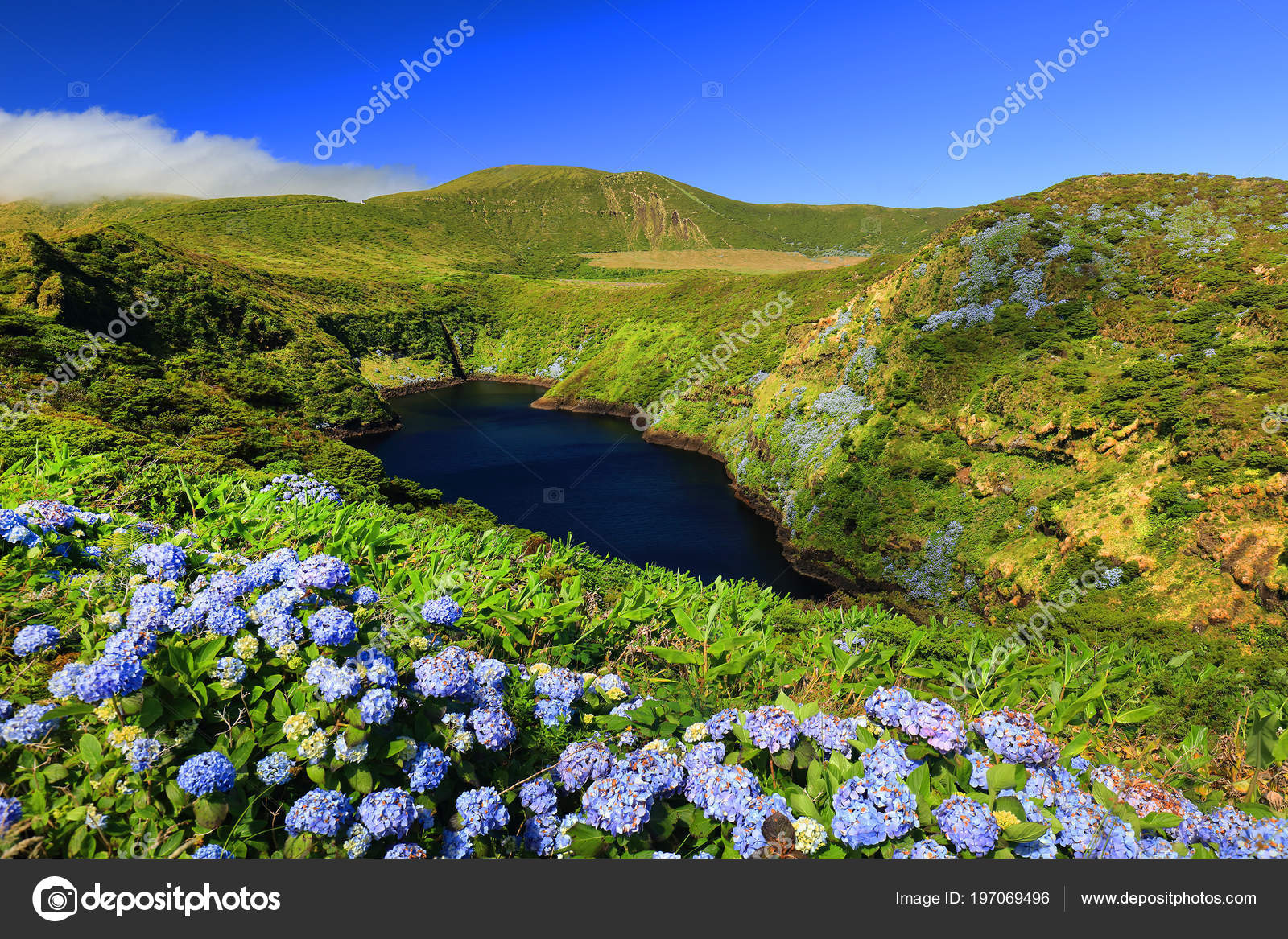 Lagoa Comprida Flores Island Azores Archipelago Portugal Europe — Stock ...