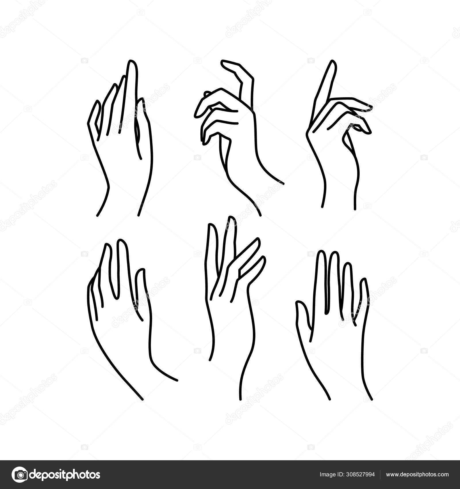 Female Hand Vector