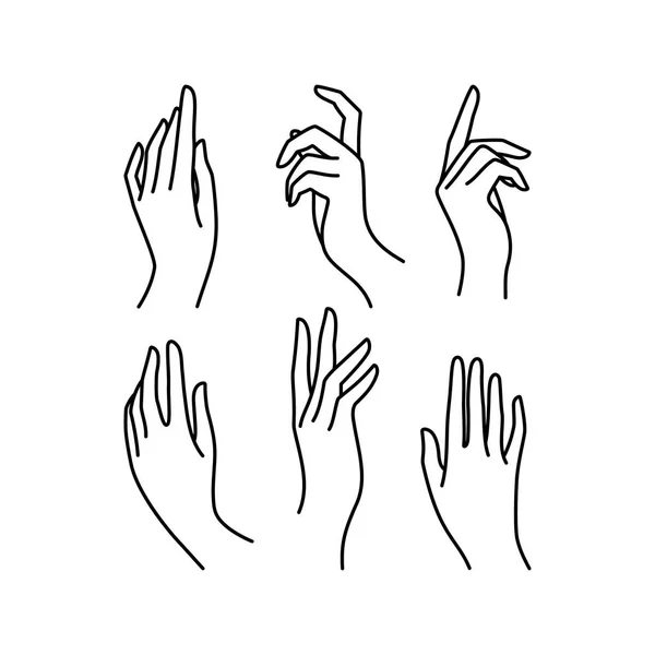 Womans Hand Icon Collection Line Vector Illustration Of Elegant