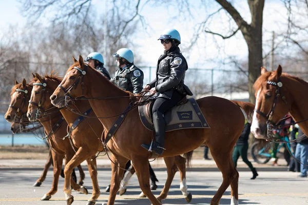 Police Riding Horse