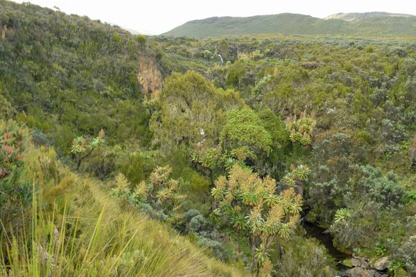 Cataratas de agua en la selva tropical en los paisajes panorámicos de ...