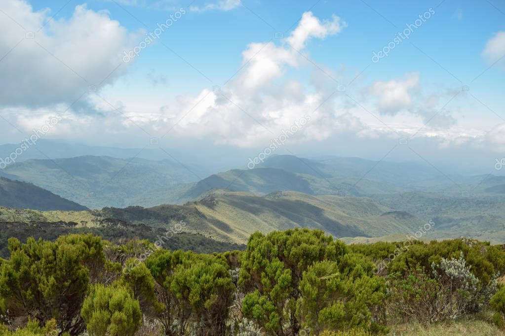 Cataratas de agua en la selva tropical en los paisajes panorámicos de ...