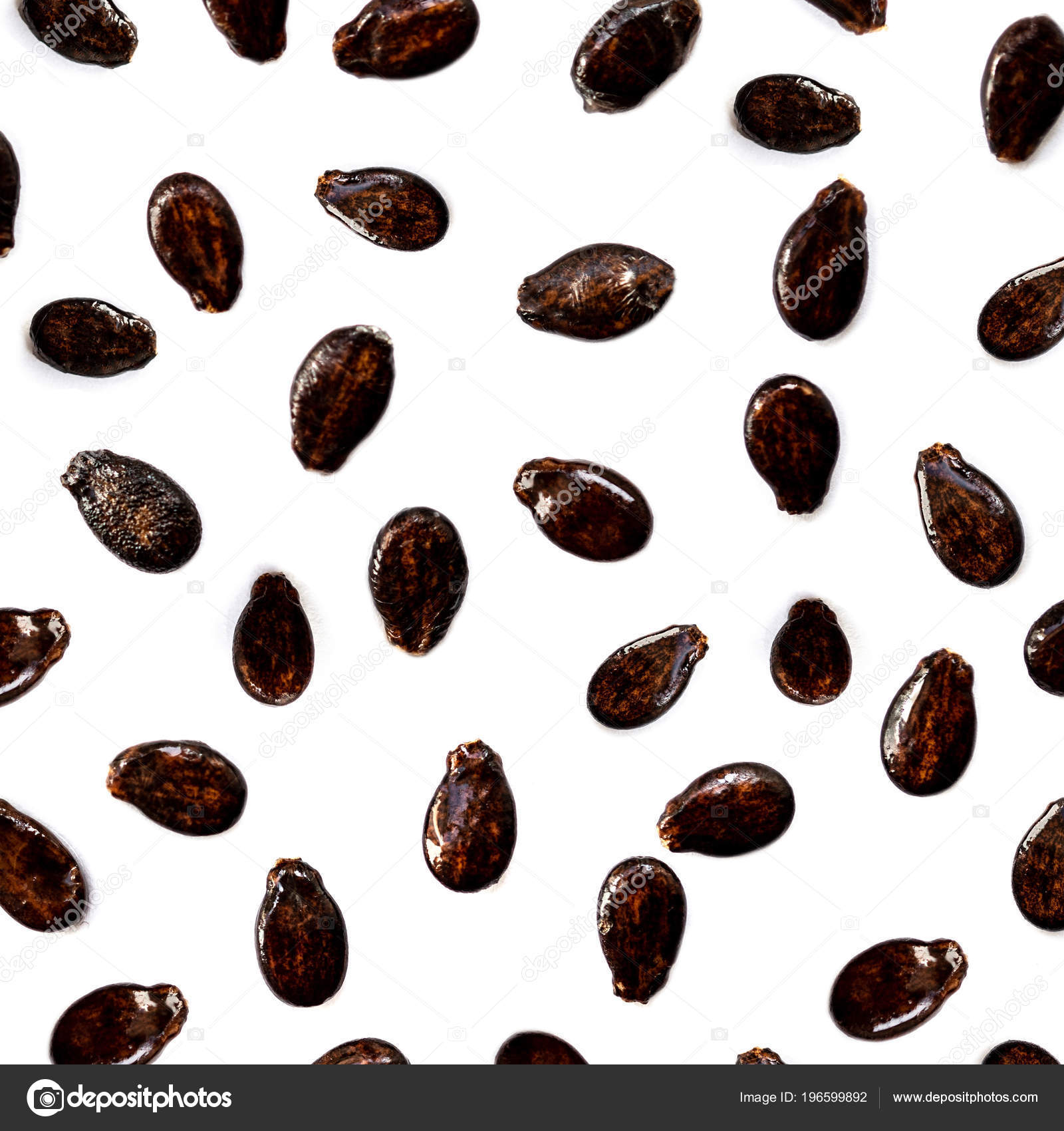 Black Watermelon Seeds