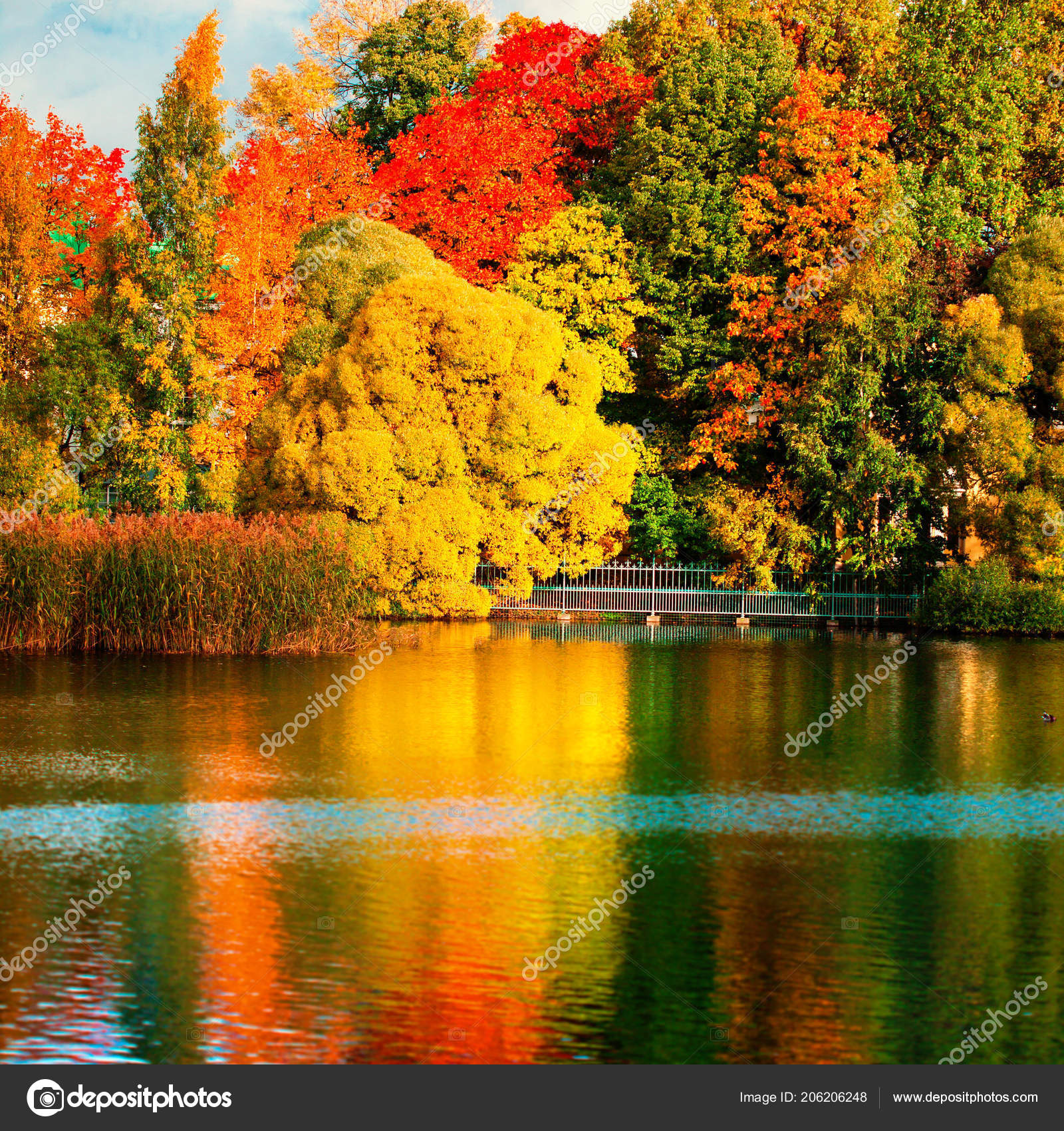Beautiful Autumn Park Trees Top Photo Spots For Autumn Colours In