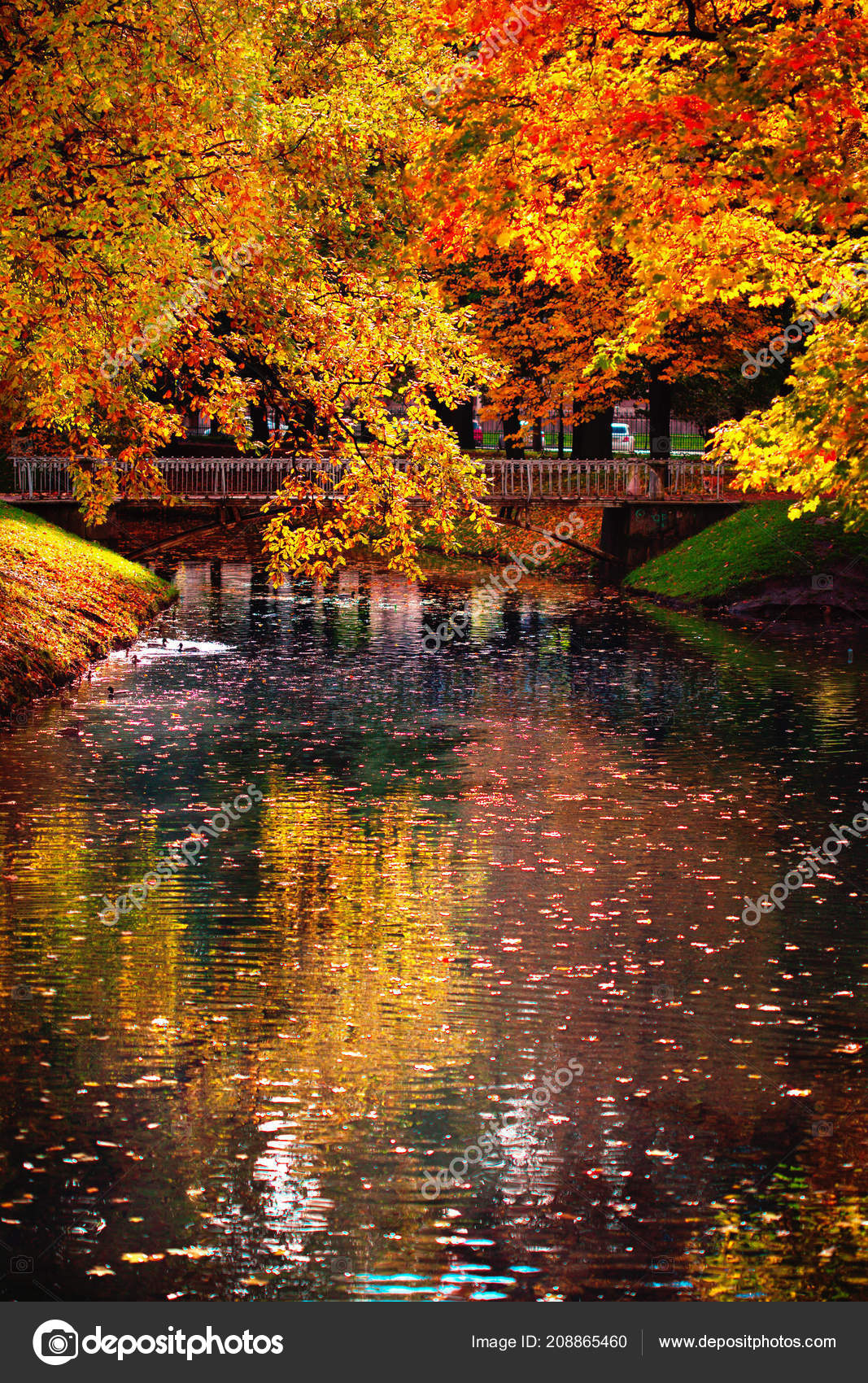 Fall In Lake At Night