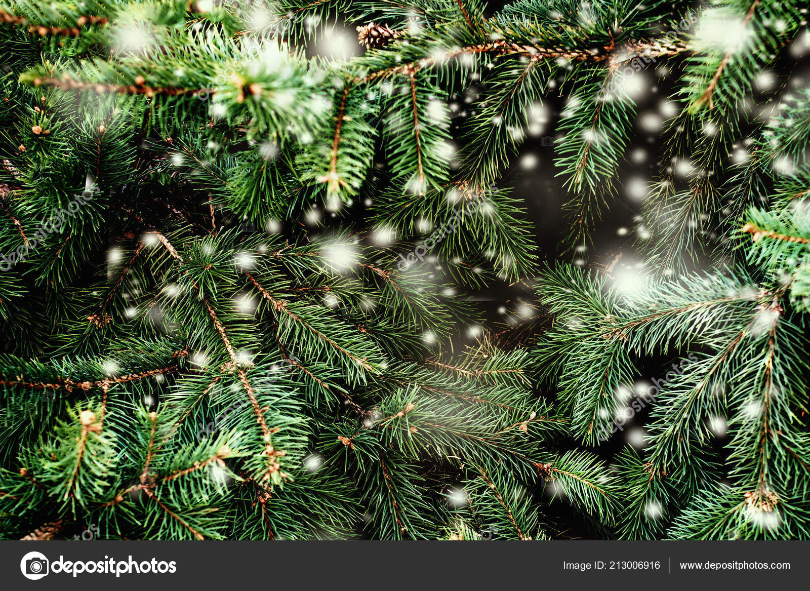 Christmas Tree Branch Wallpaper