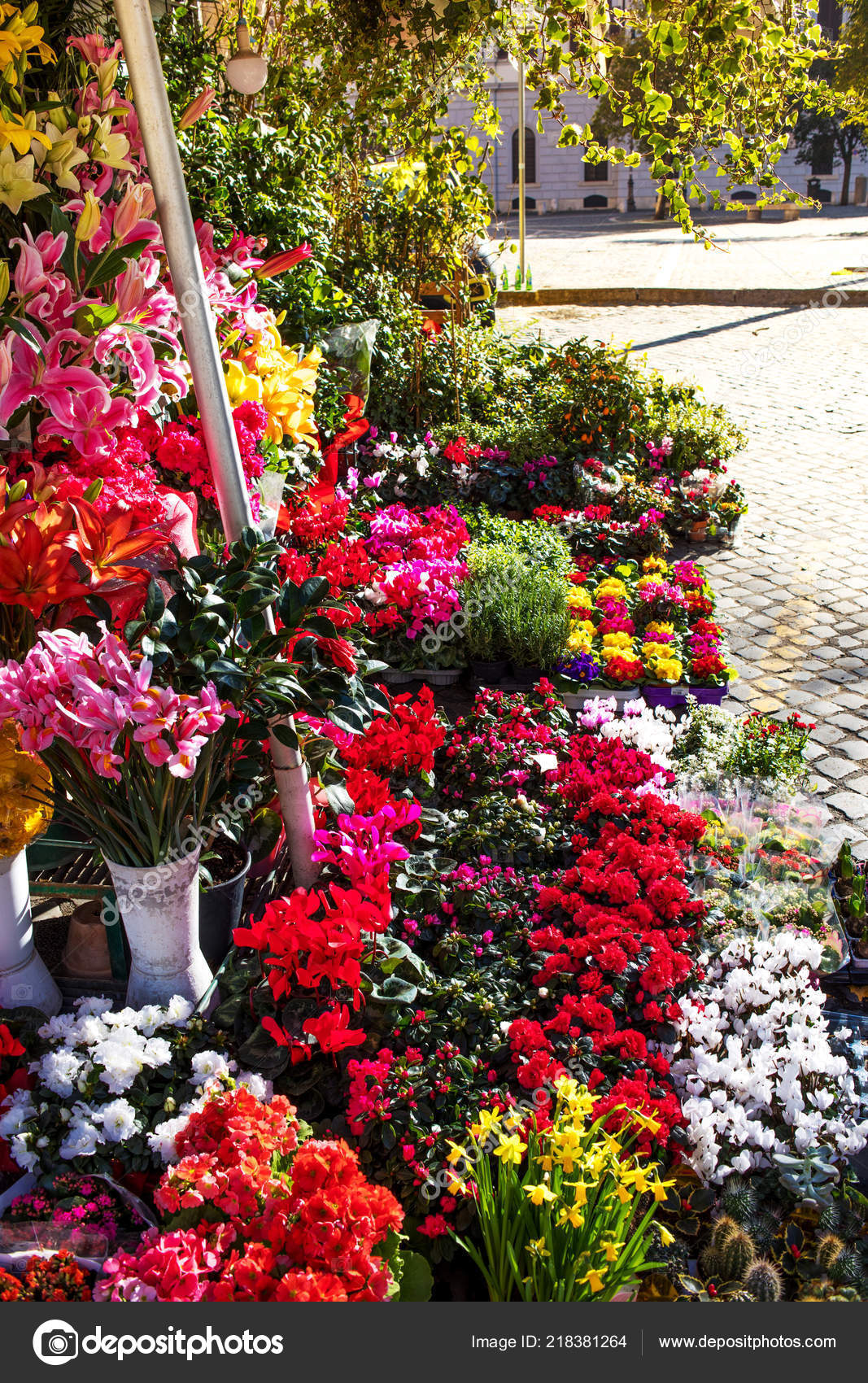 Pictures Of Various Flowers / Large Size Flower Stand For Wedding ...