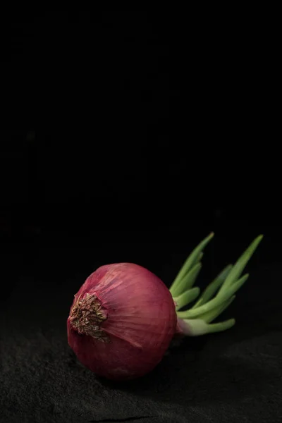 Naturaleza muerta de la cebolla fotos de stock, imágenes de Naturaleza ...