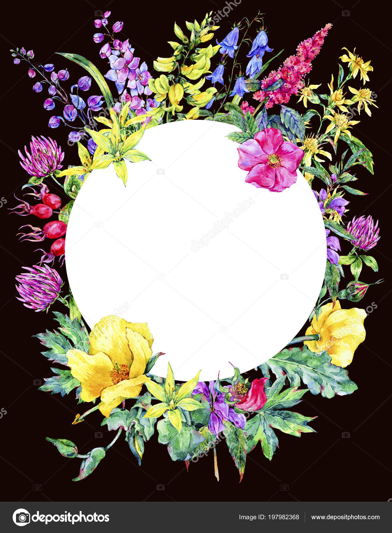 Watercolor summer medicinal floral round frame, Wildflowers plant Stock ...