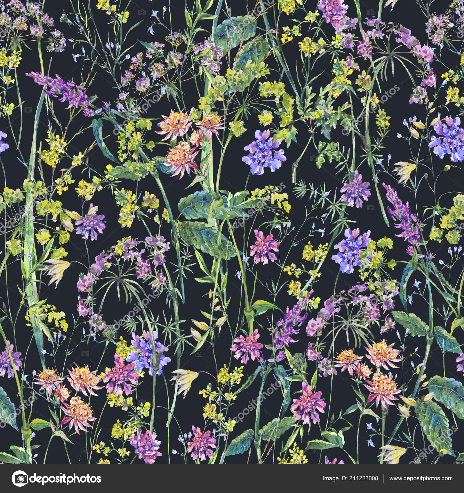 Watercolor summer wildflowers seamless pattern — Stock Photo © Depiano ...