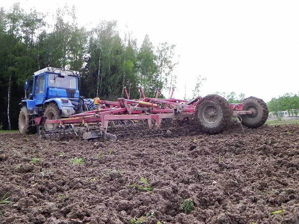 Manual harvesting Stock Photos, Royalty Free Manual harvesting Images ...