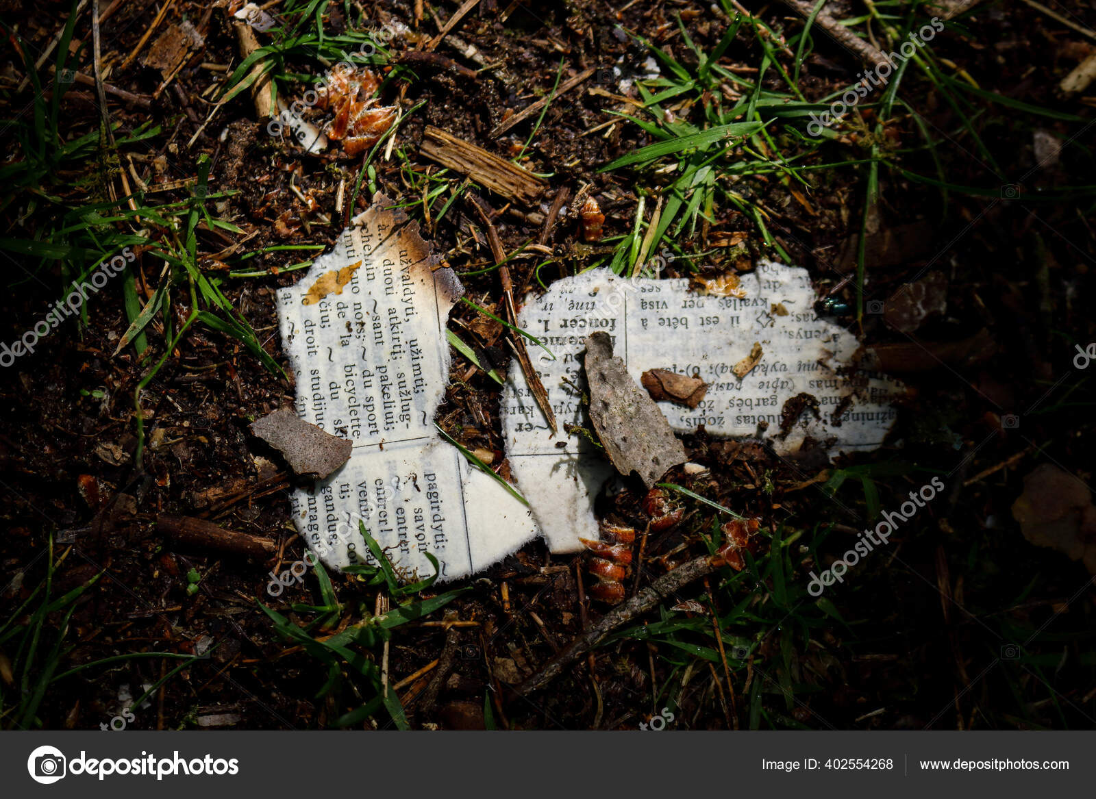 Torn Burnt Dictionary Pages Lying Dark Black Forest Dirt Background ...