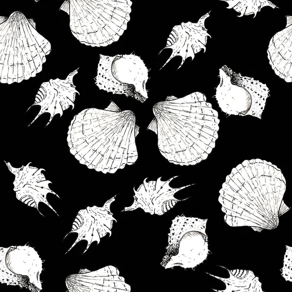 White and black sketch illustration of seashells on black backgr ...