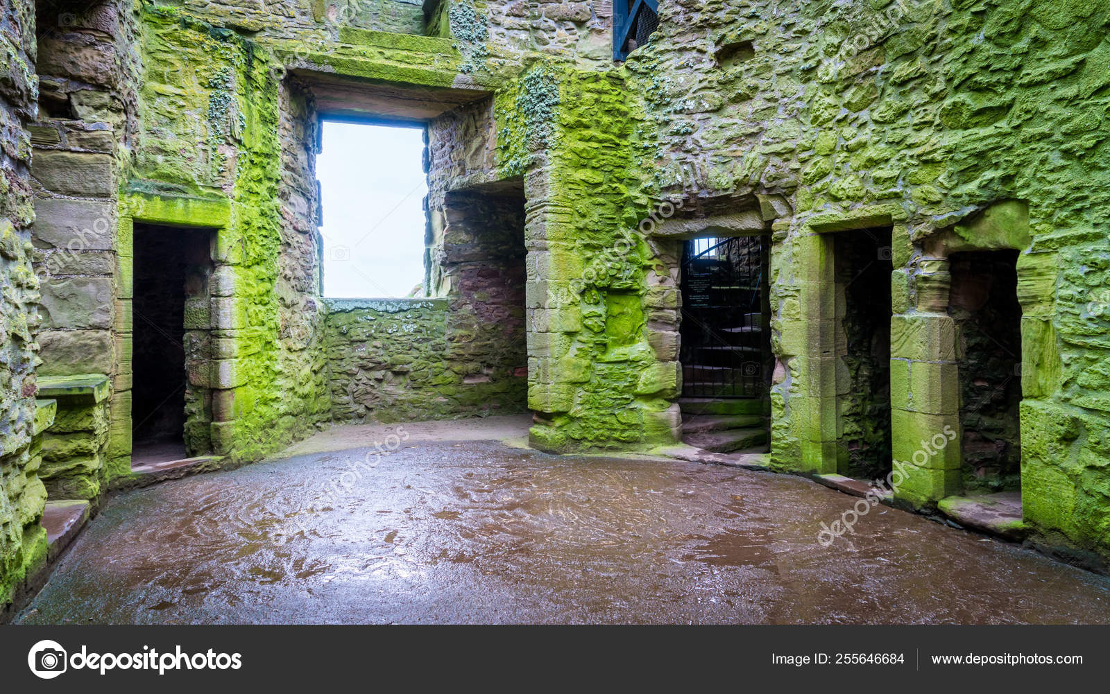 Scottish Castles Interiors