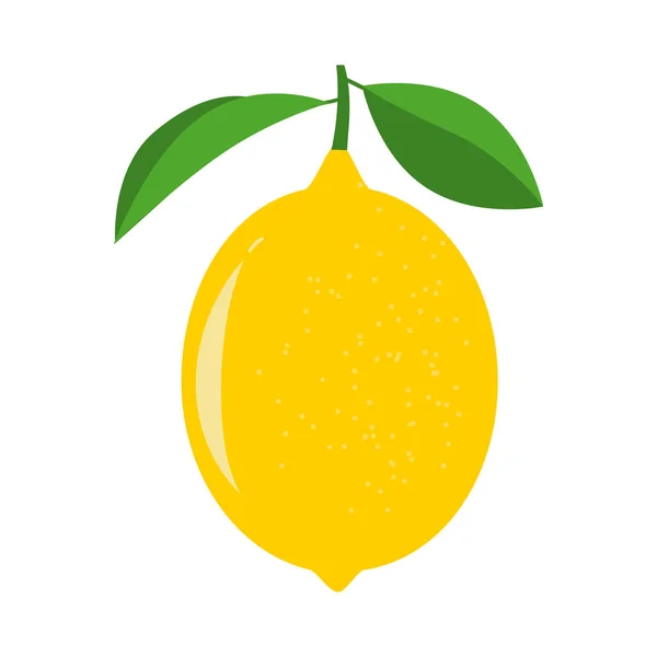 100,000 Limoncello Vector Images | Depositphotos