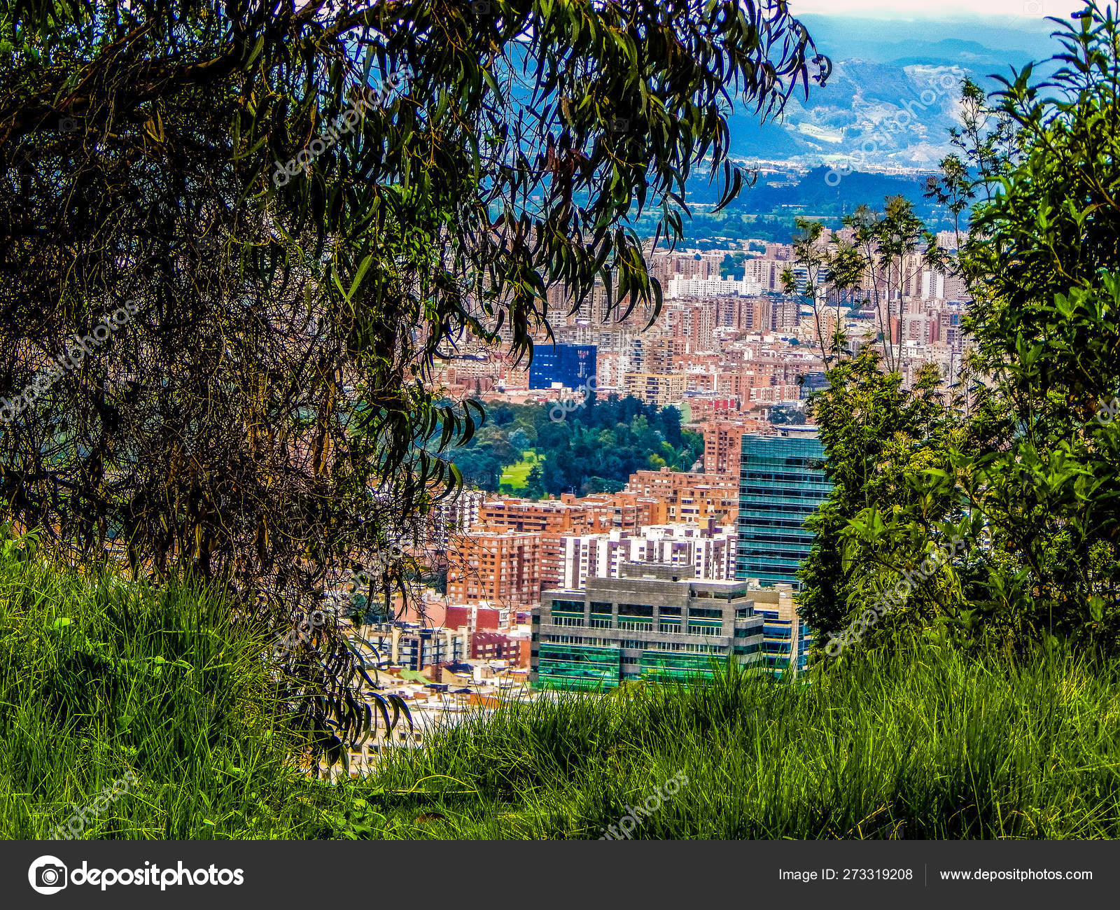 Panoramic Buildings Bogota Colombia Trees Stock Photo by ©Tienda de ...