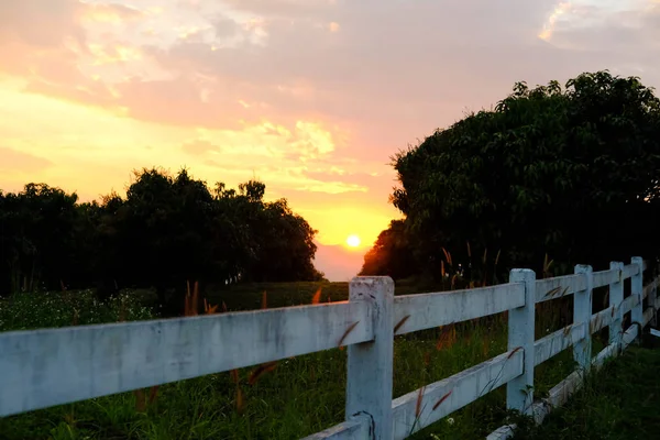 Sunlight farm Stock Photos, Royalty Free Sunlight farm Images ...