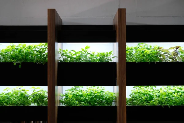 Vertical indoor farming Stock Photos, Royalty Free Vertical indoor ...