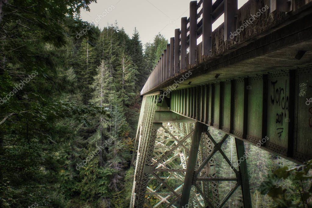 High Steel Bridge, un puente de arco de armadura sobre el río Skokomish ...
