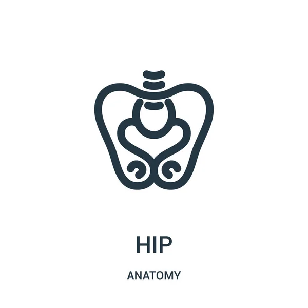 vector icono de la cadera de colección de anatomía. Icono delgada línea ...