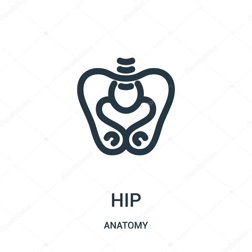 vector icono de la cadera de colección de anatomía. Icono delgada línea ...
