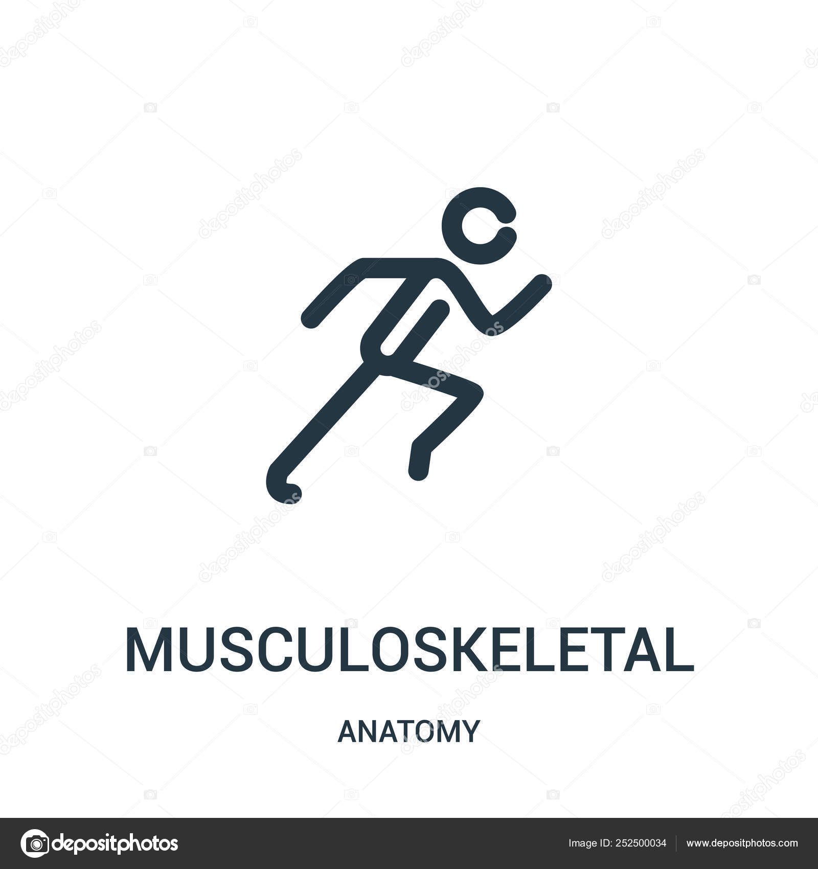 Musculoskeletal icon vector from anatomy collection. Thin line ...