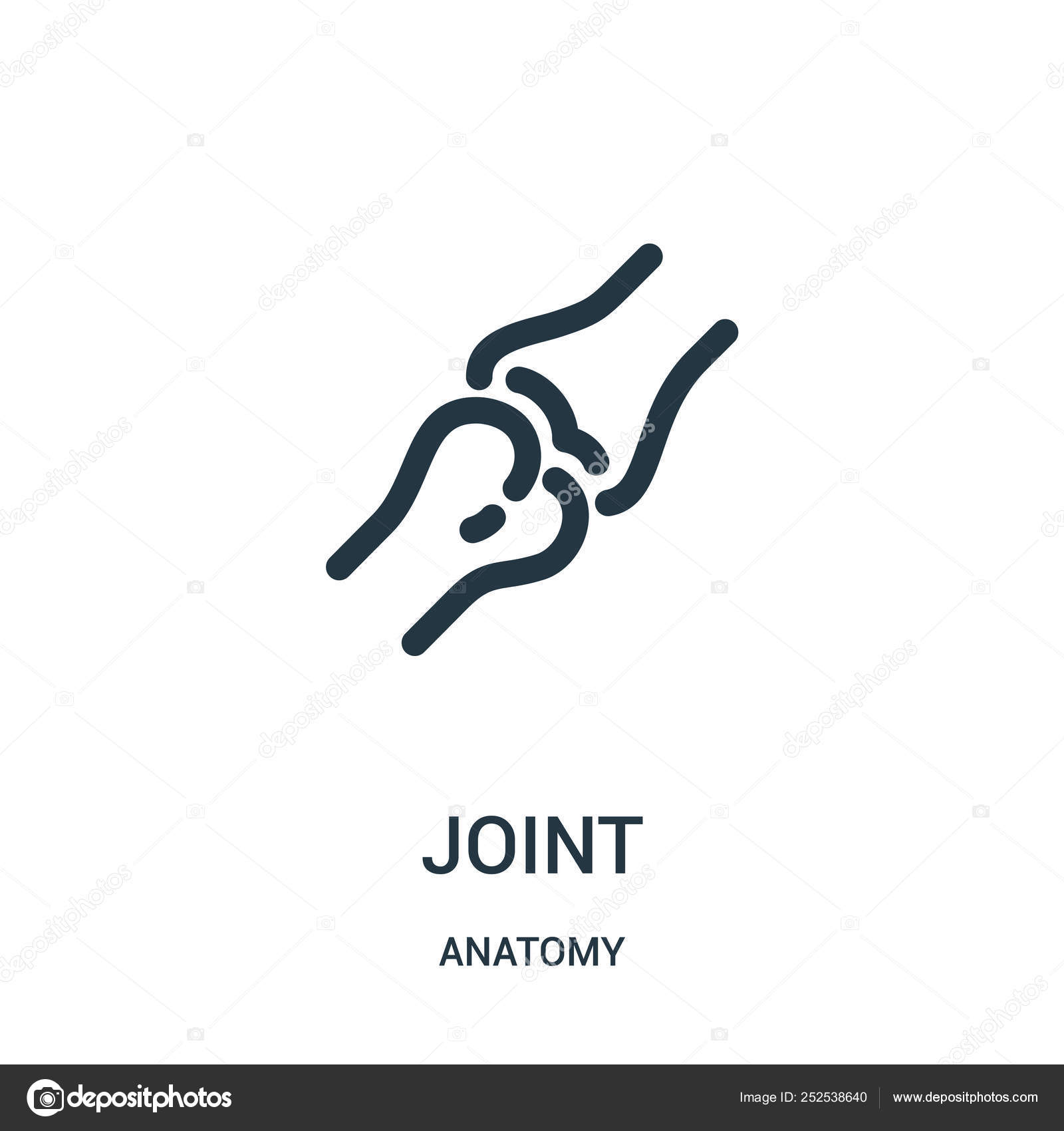 Joint icon vector from anatomy collection. Thin line joint outline icon ...