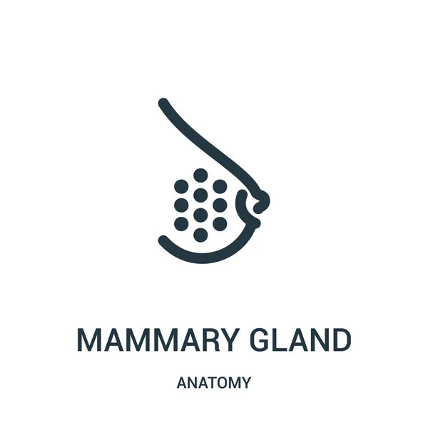 Mammary glands Stock Vectors, Royalty Free Mammary glands Illustrations ...