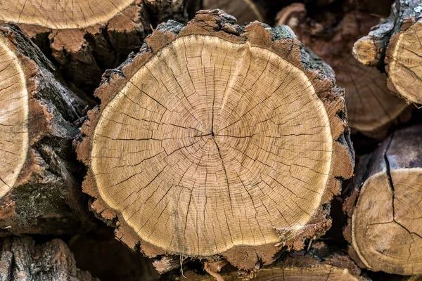 Tronco de madera fotos de stock, imágenes de Tronco de madera sin ...