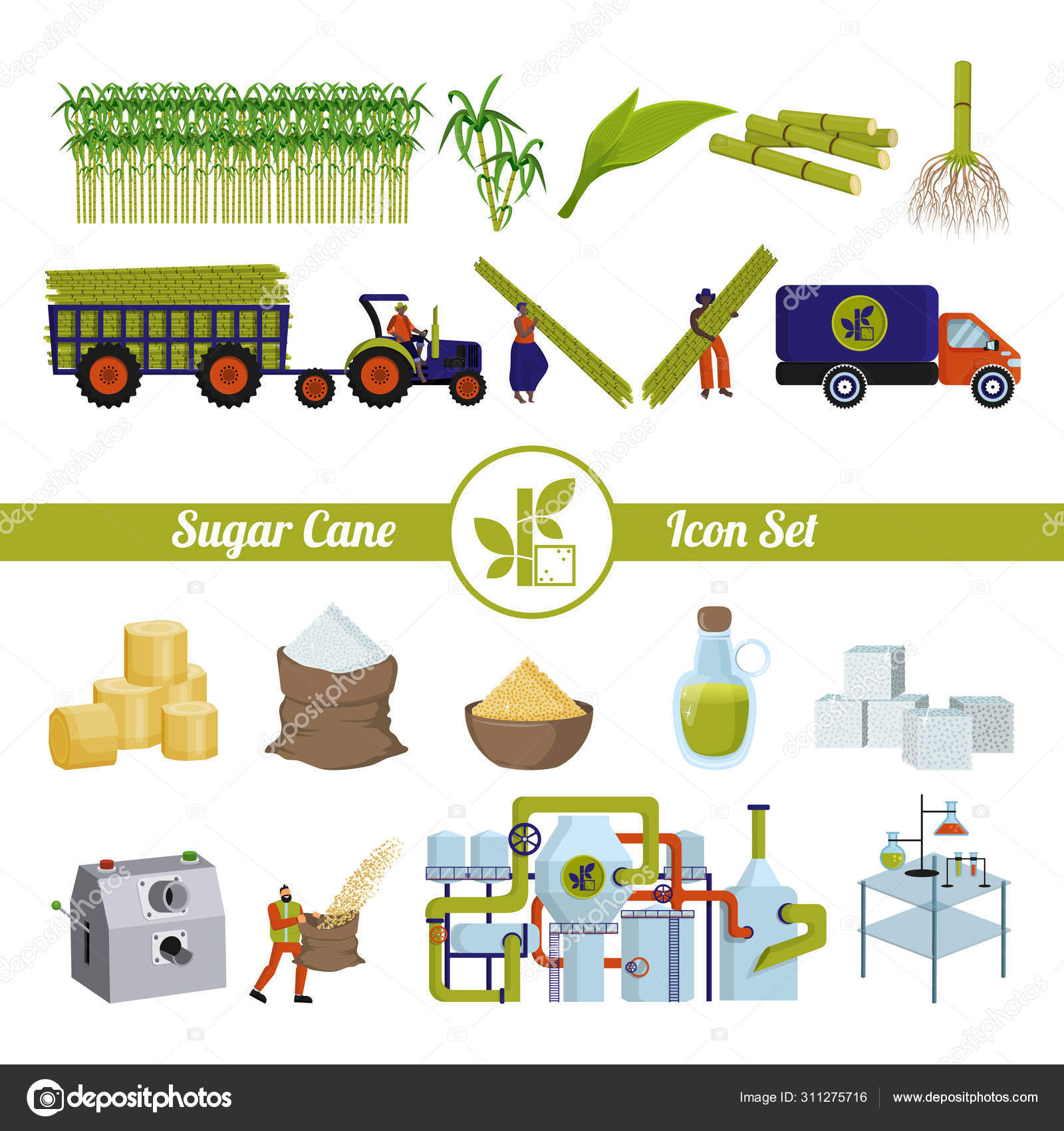 Sugar Cane Factory Process