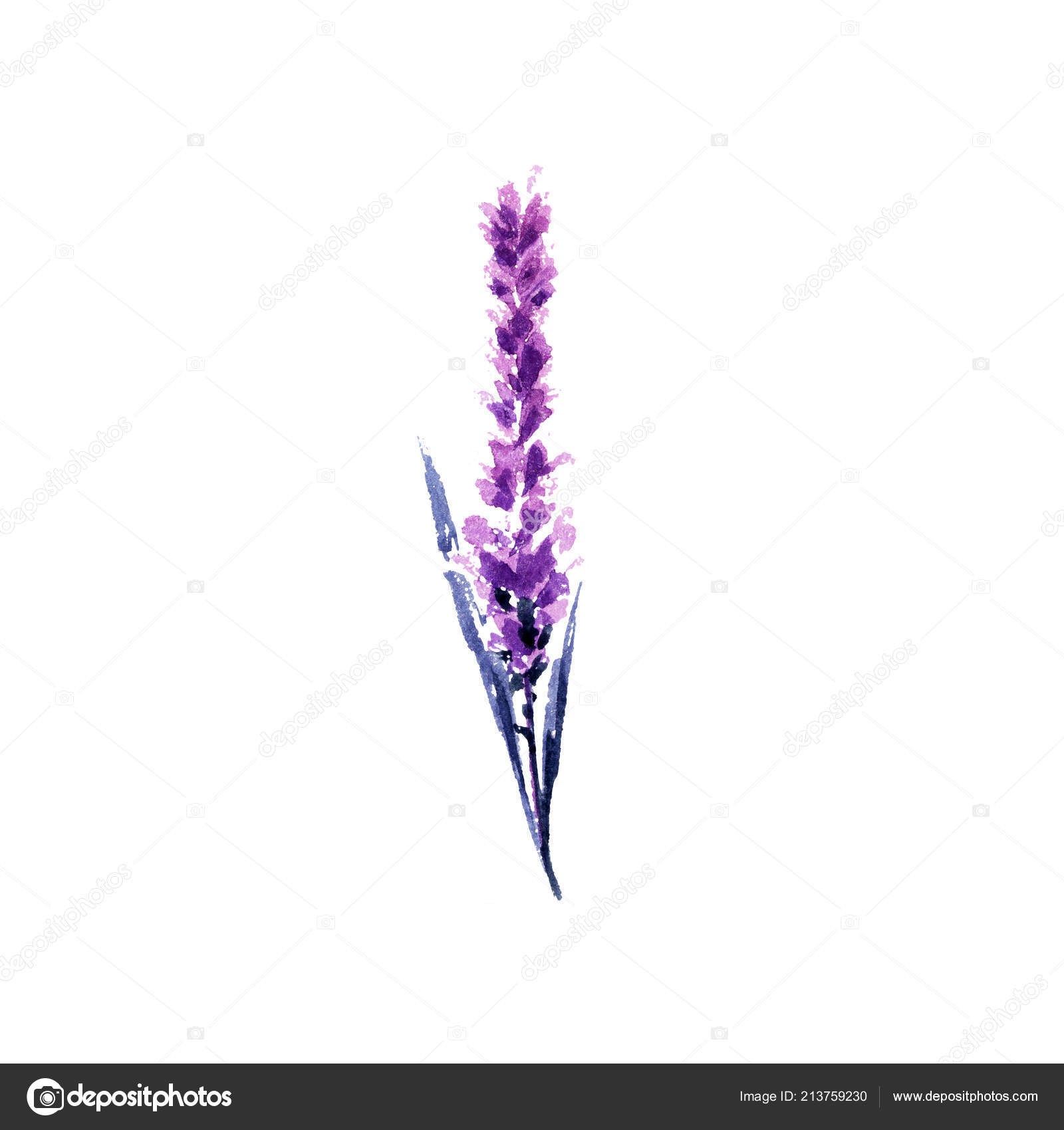 Single Lavender Sprig