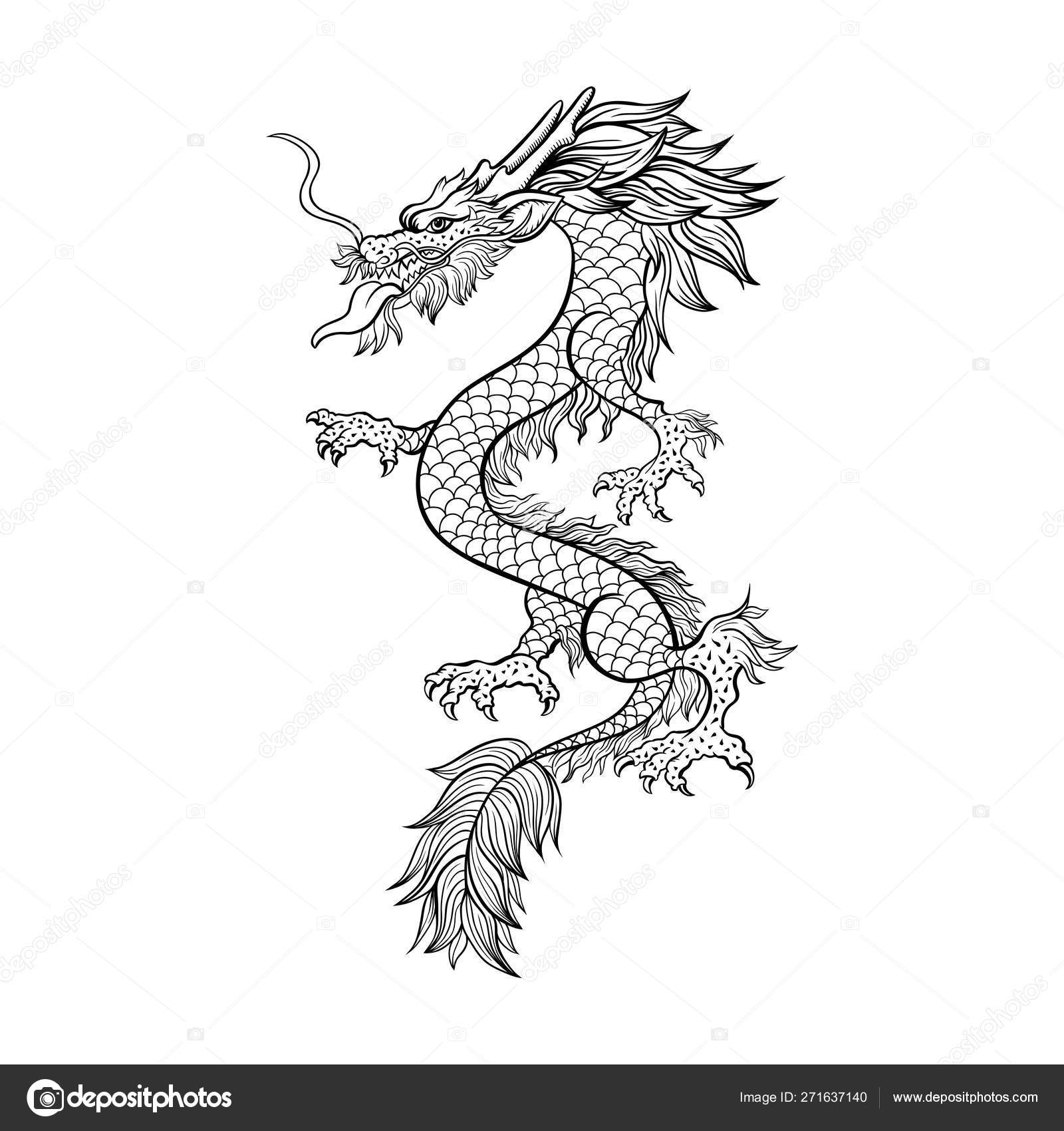 Chinese dragon hand drawn contour illustration Stock Vector by ...