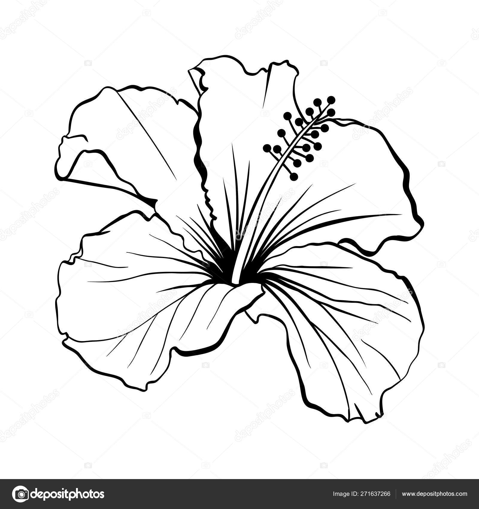 Hawaiian Hibiscus contour laser cut vecteur. Stock Vector by ©ilonitta ...