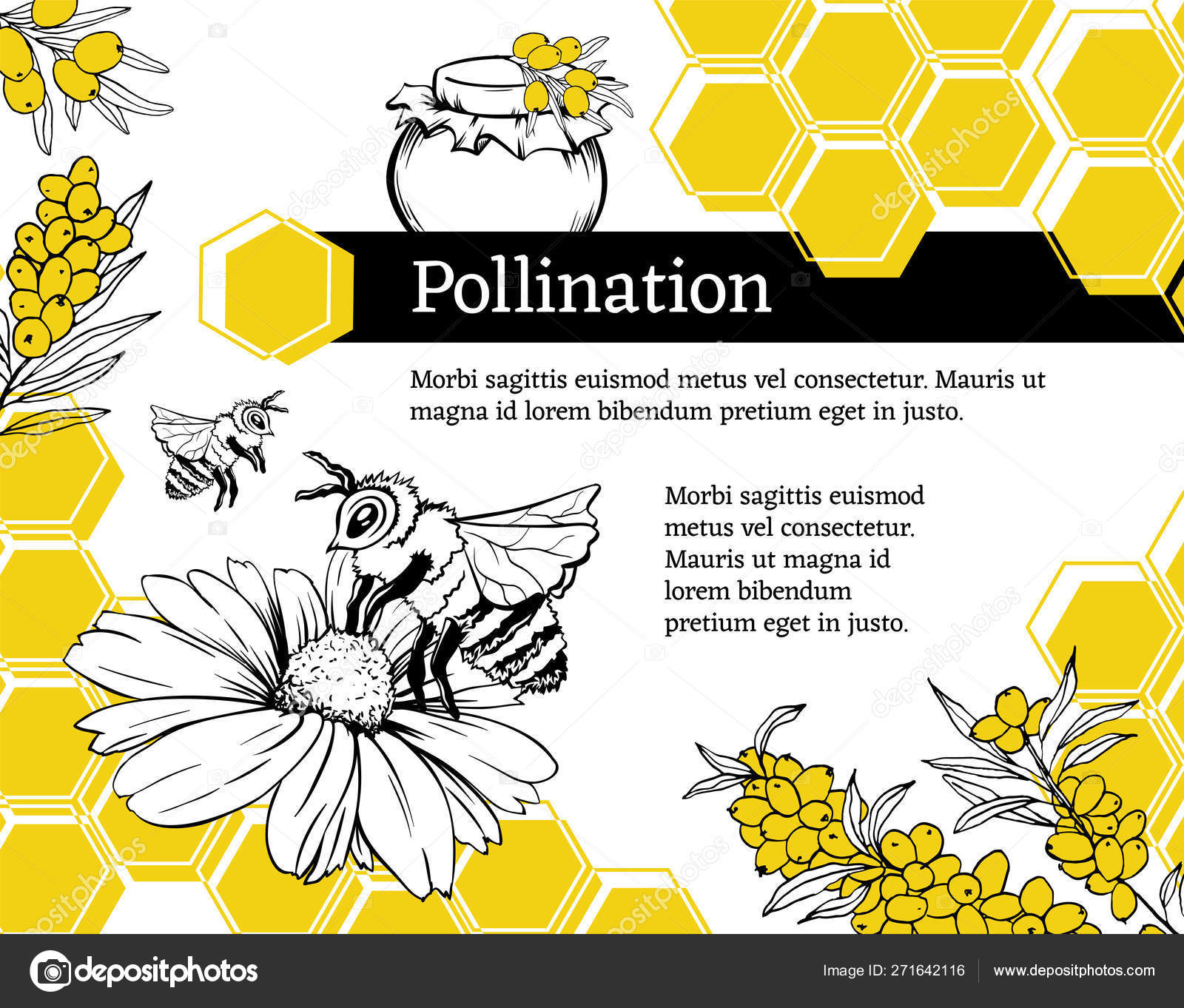 Bee Pollination Drawing