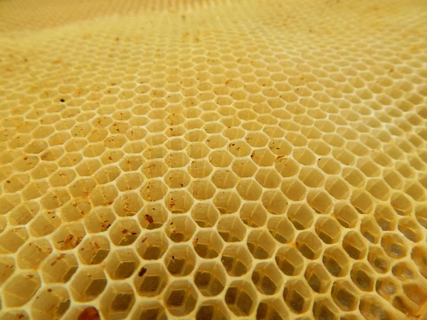 Wax texture Stock Images - Search Stock Images on Everypixel