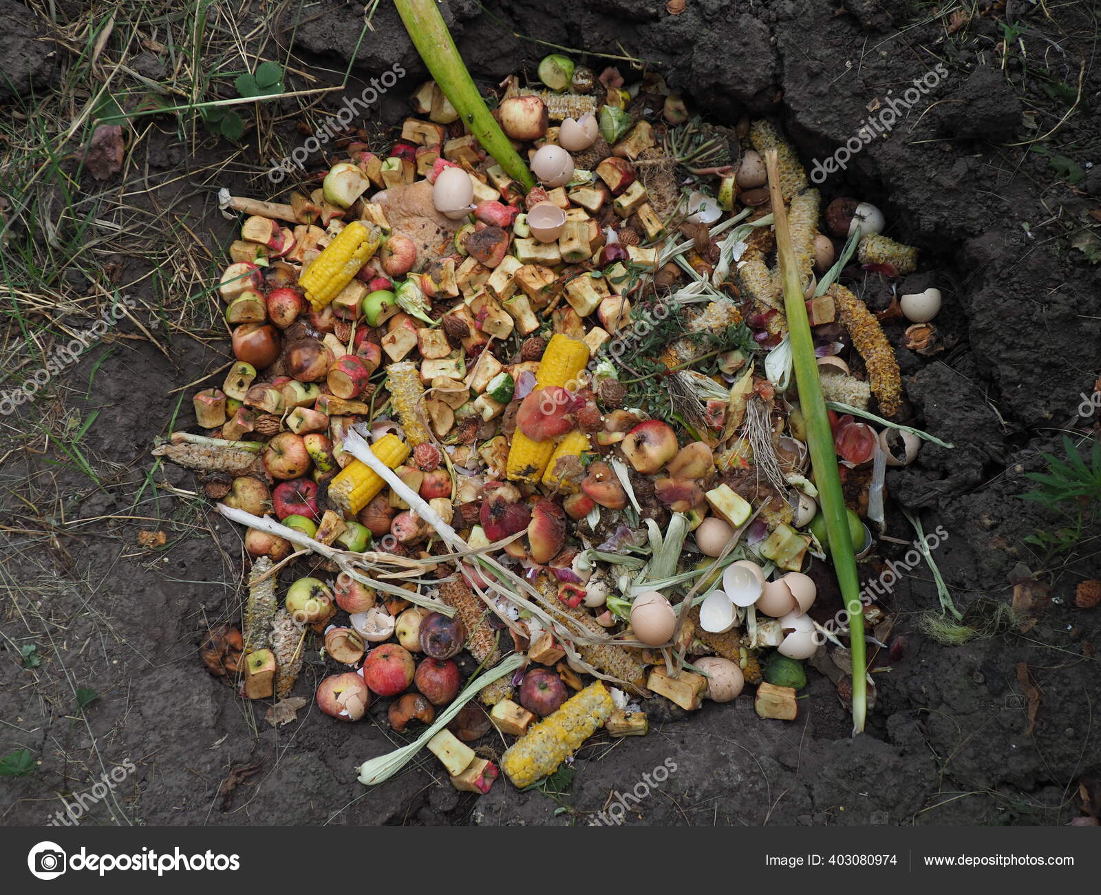 Pit Garbage Organic Products — Stock Photo © AxOst #403080974