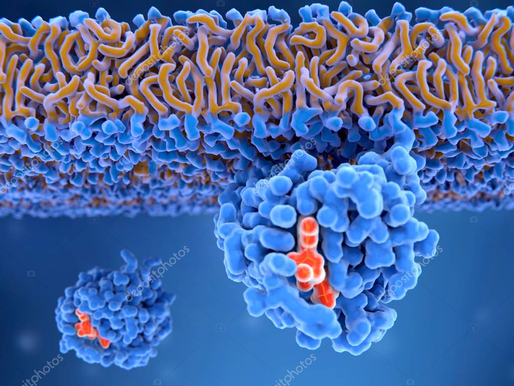 3d ilustración por ordenador de una proteína Ras activada. Las ...