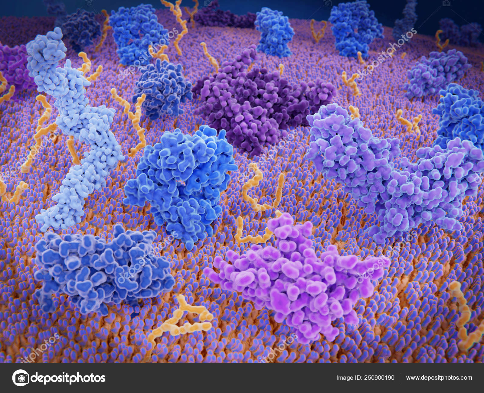 Immunologically Active Proteins Cell Tcr Blue Light Blue Dark Blue ...