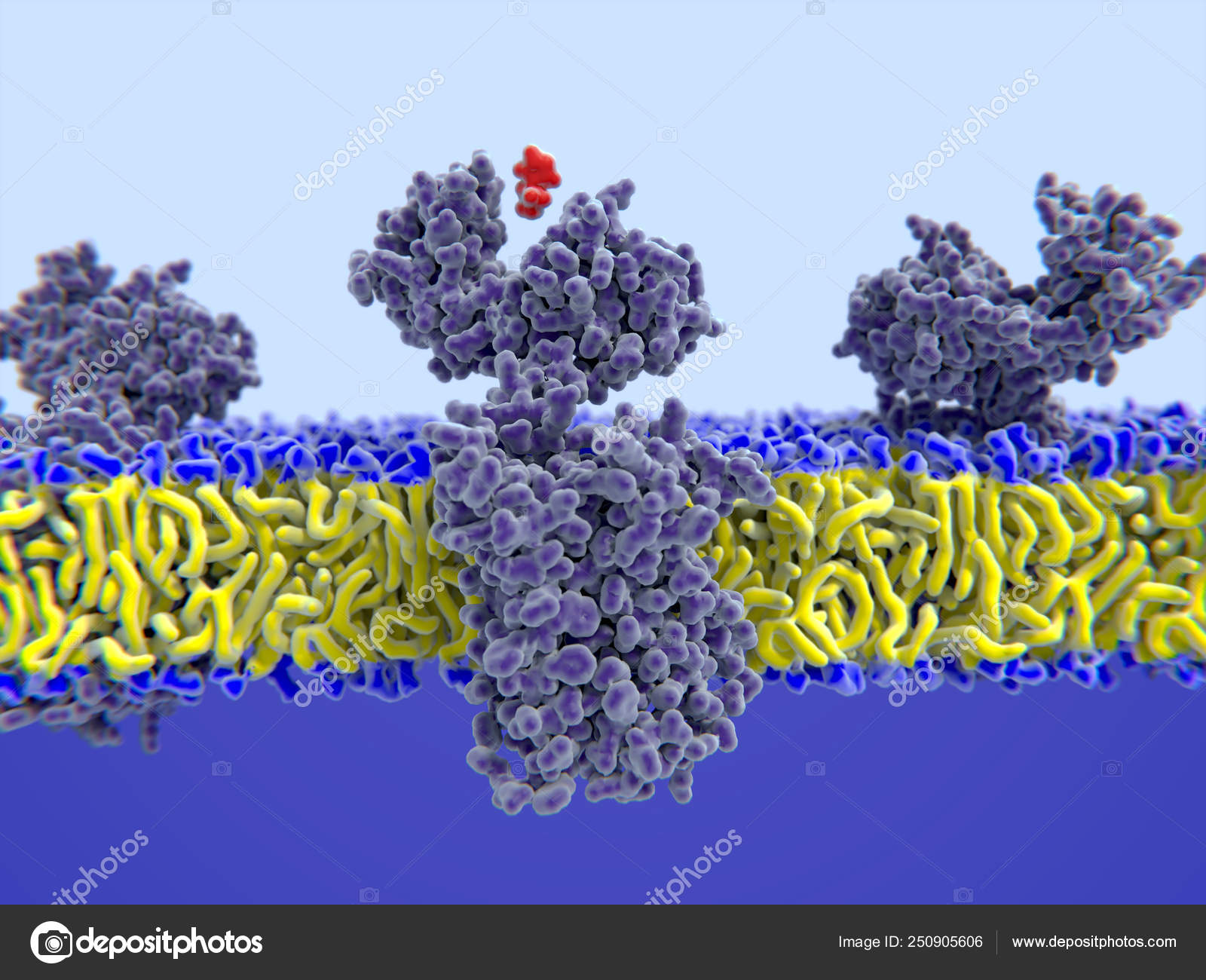 Computer Illustration Histamine Binding Its Receptor Histamin Involved ...