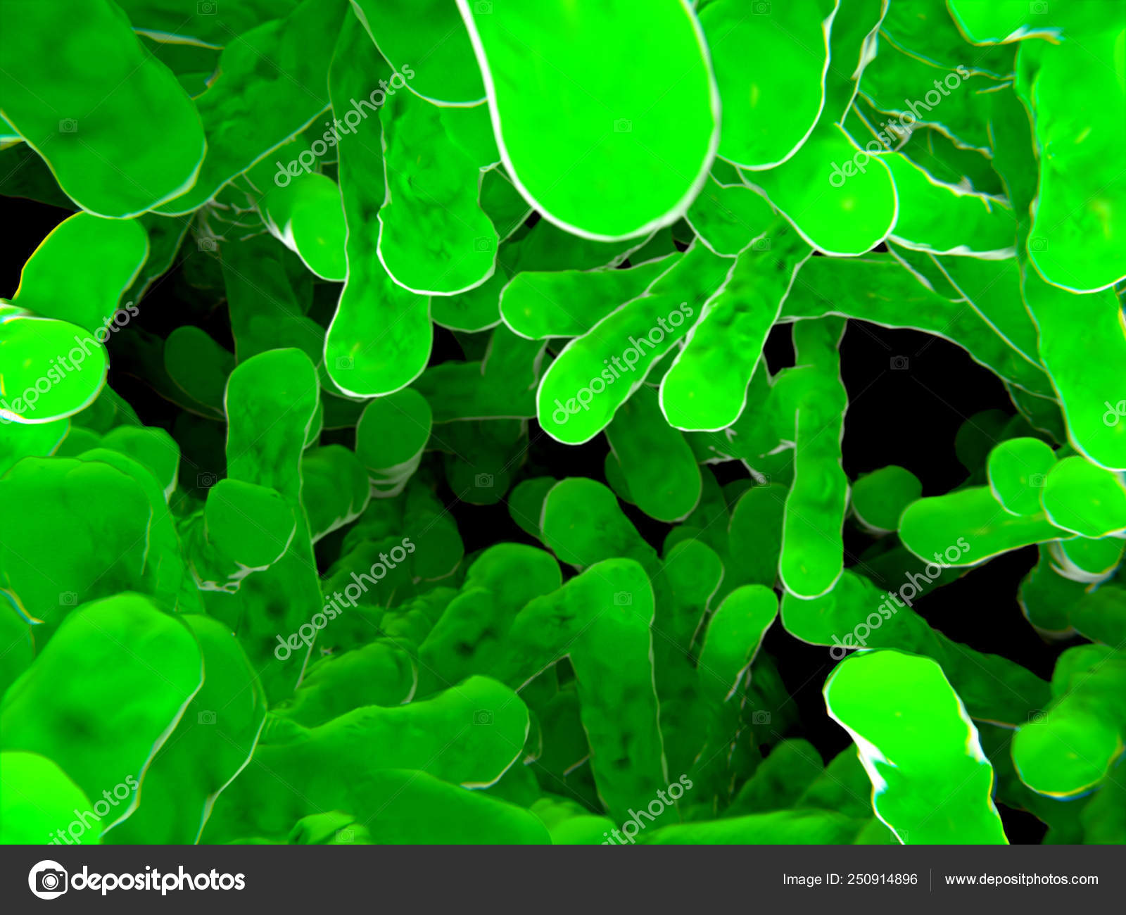 Bacterial Colony Bacilli Rendering Bacteria Prokaryotic Microorganisms ...